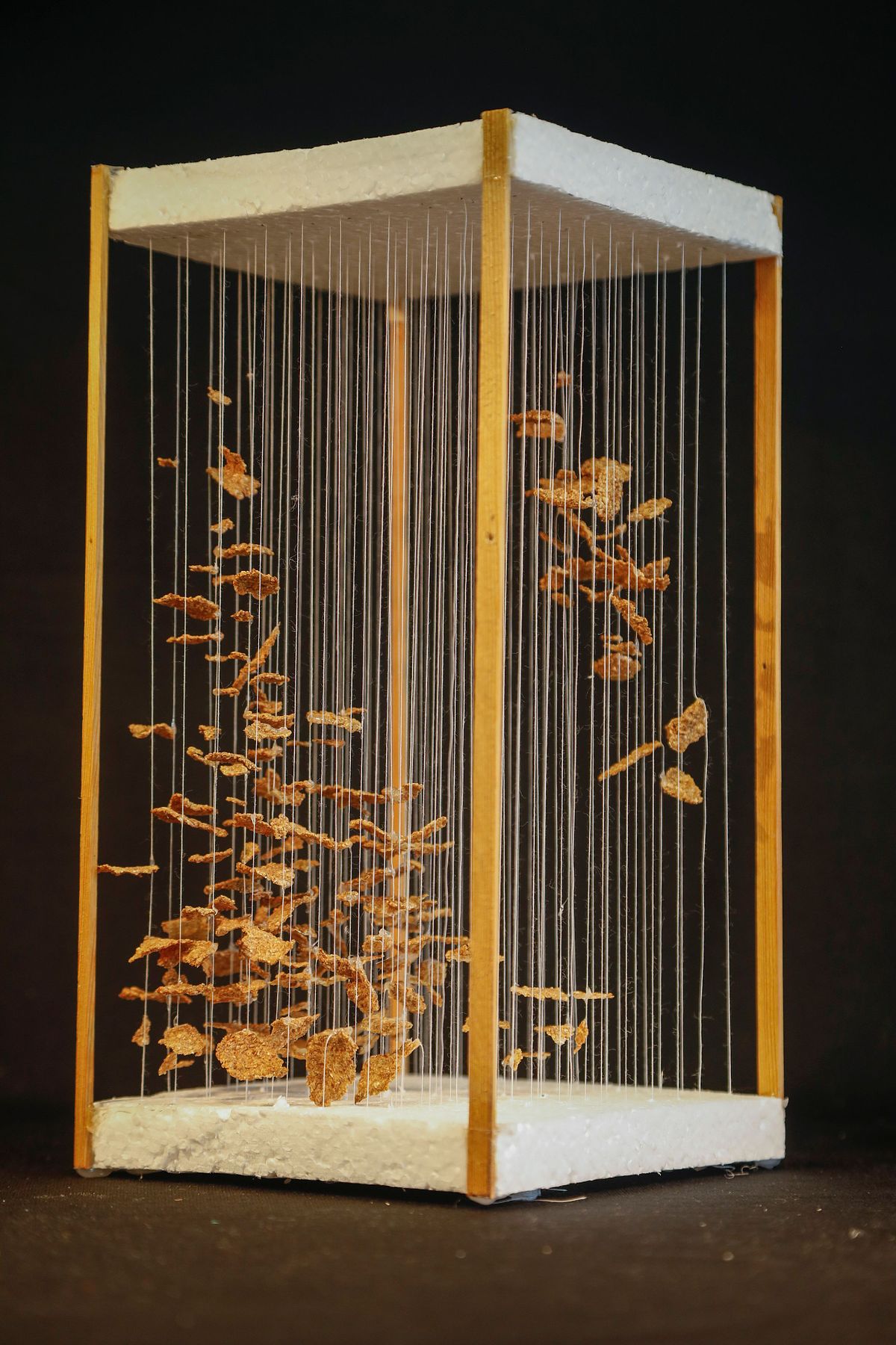 Floating Flakes | Este Galli