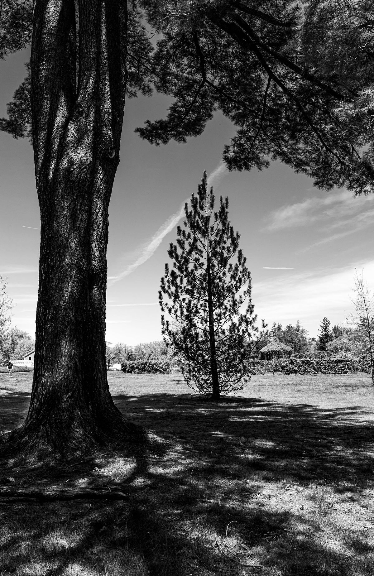 Chiappetta Photography I am a photographer based out of Norwalk ...