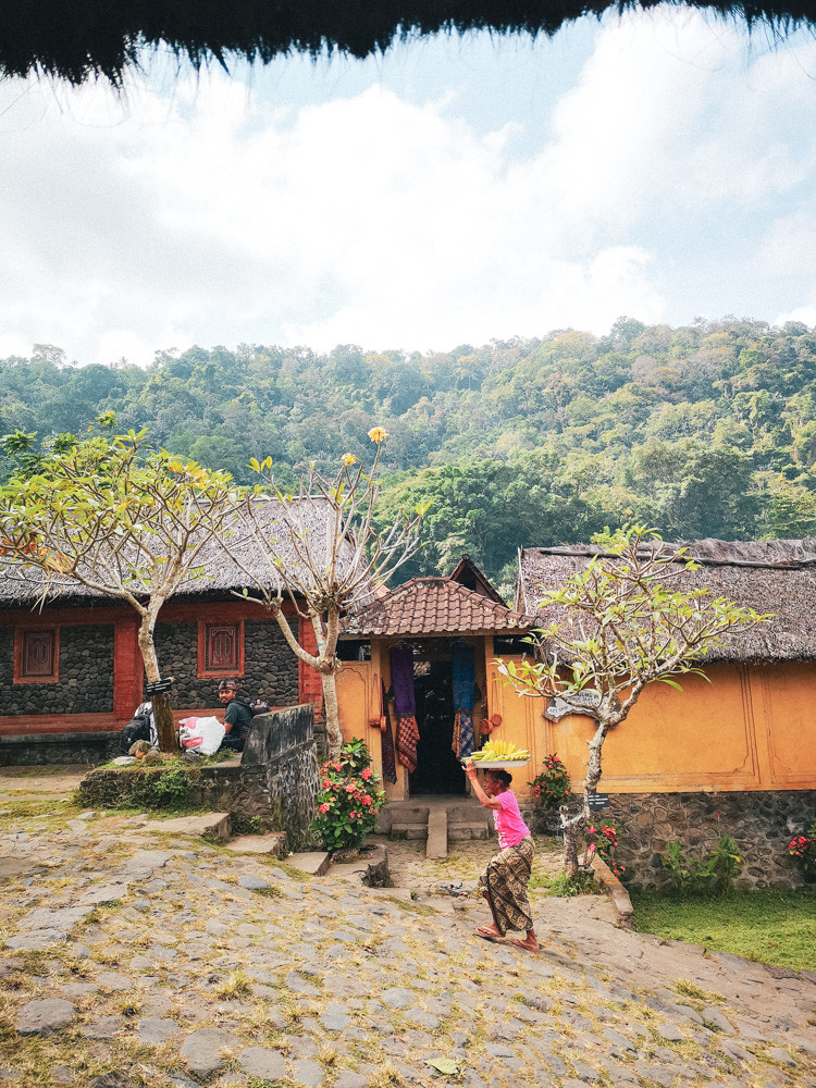 Everything You Need to Know About Mekaré-Kare: Bali’s Sacred Pandanus ...