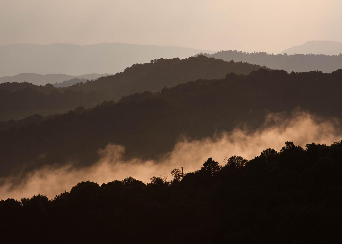 Summer Photography by Kim Hadley
