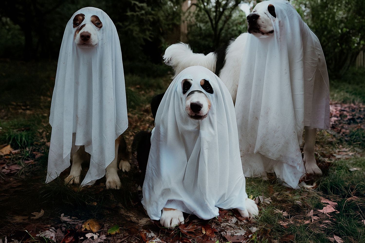 Creative Portraits | Pittsburgh Photographer – Nathaniel Douglas ...